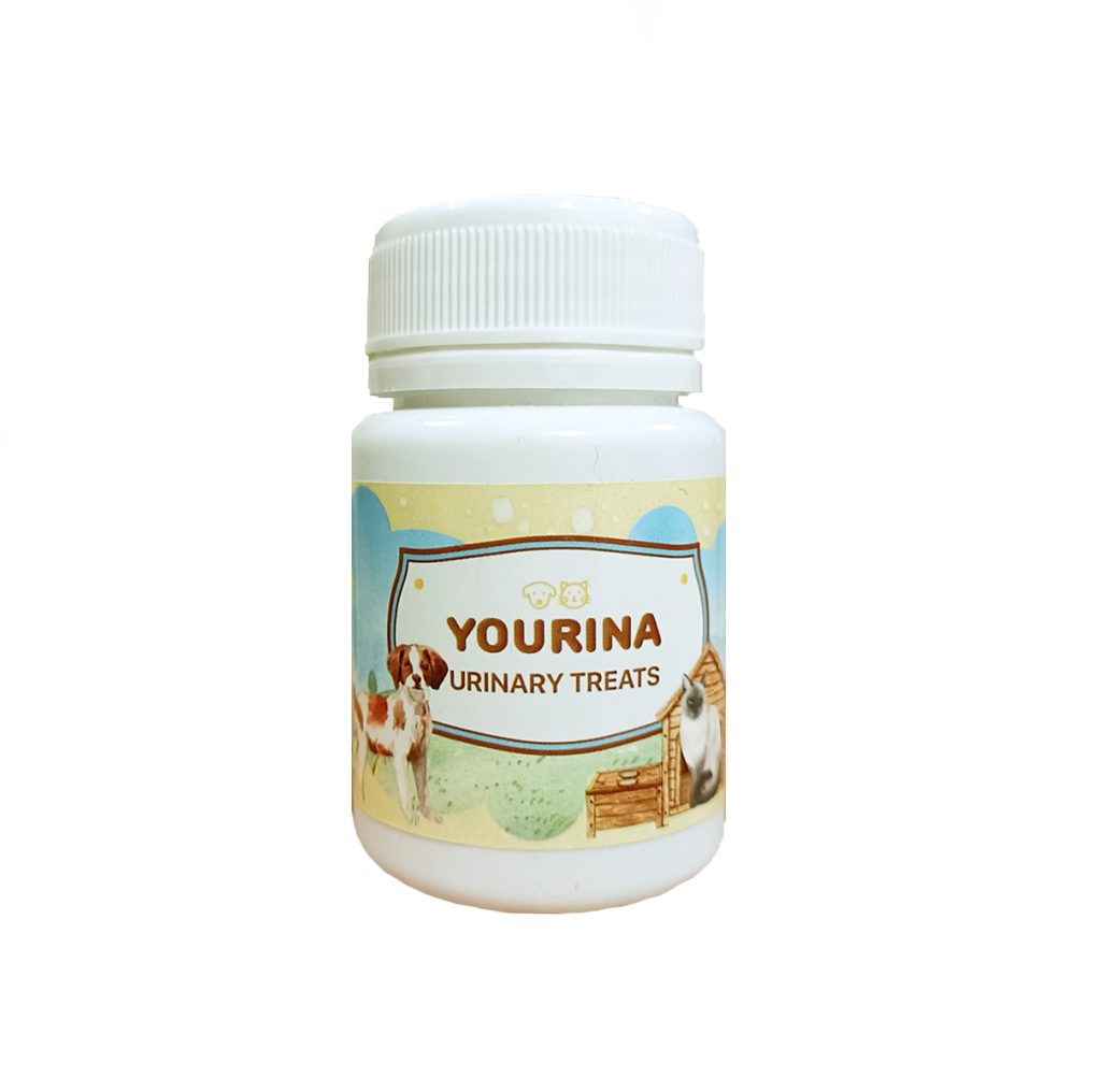YOURINA 0813-1872-3247 0857-8451-4386 (Call/Wa)YOURINA